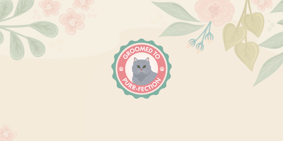 Groomed To Purr-fection